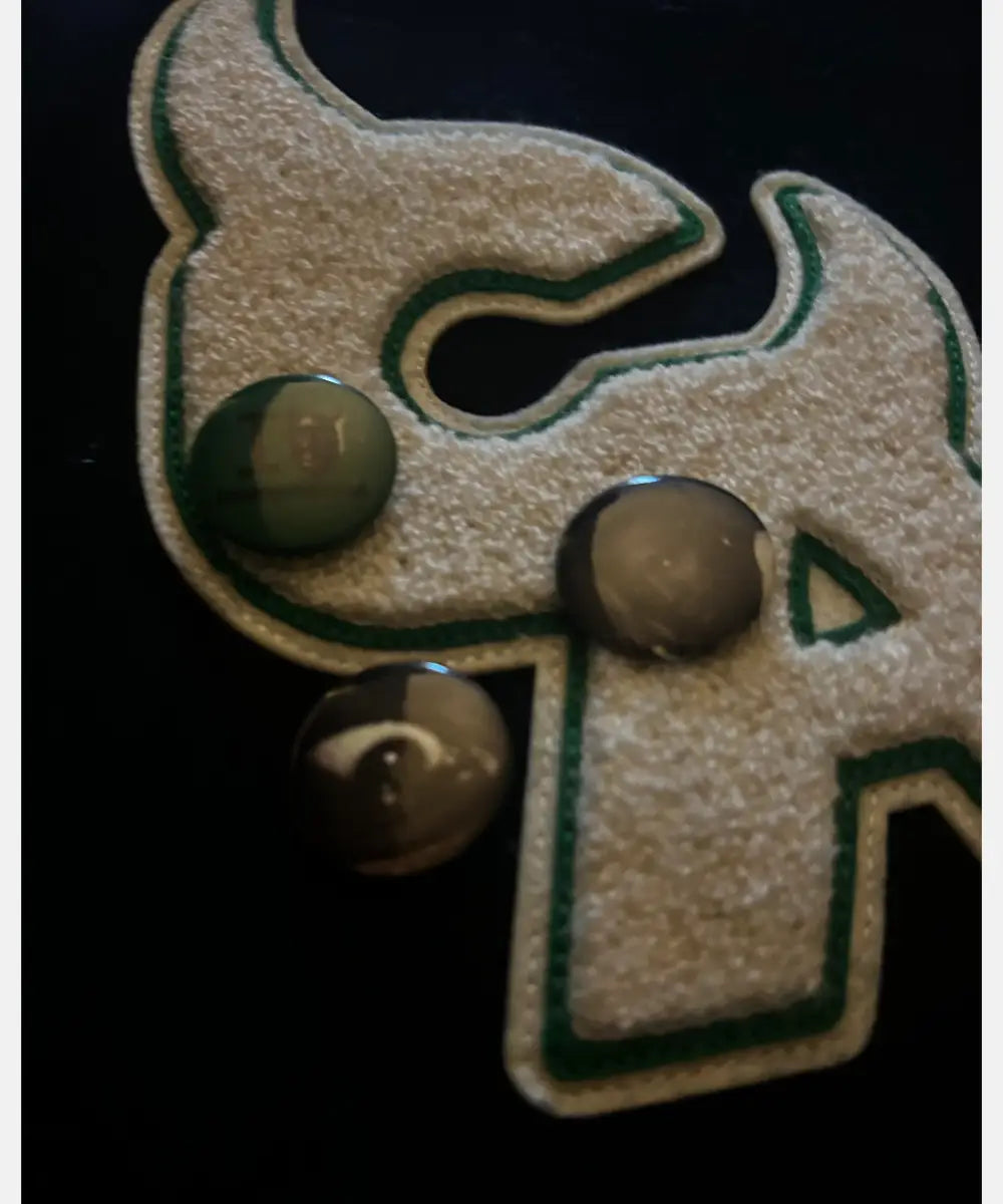 Chromakopia Tour Varsity Jacket – ESHEES LLC